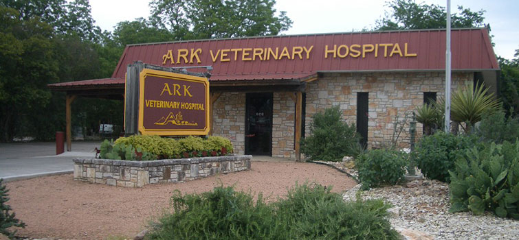 Veterinary Specials - Kerrville Veterinarian | Ark Veterinary Hospital